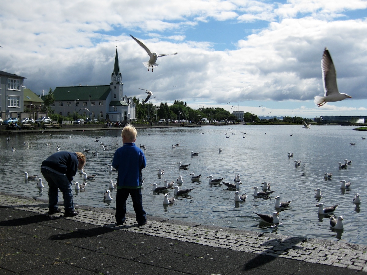 GoPro Foris a Complete Solution for Municipalities | GoPro